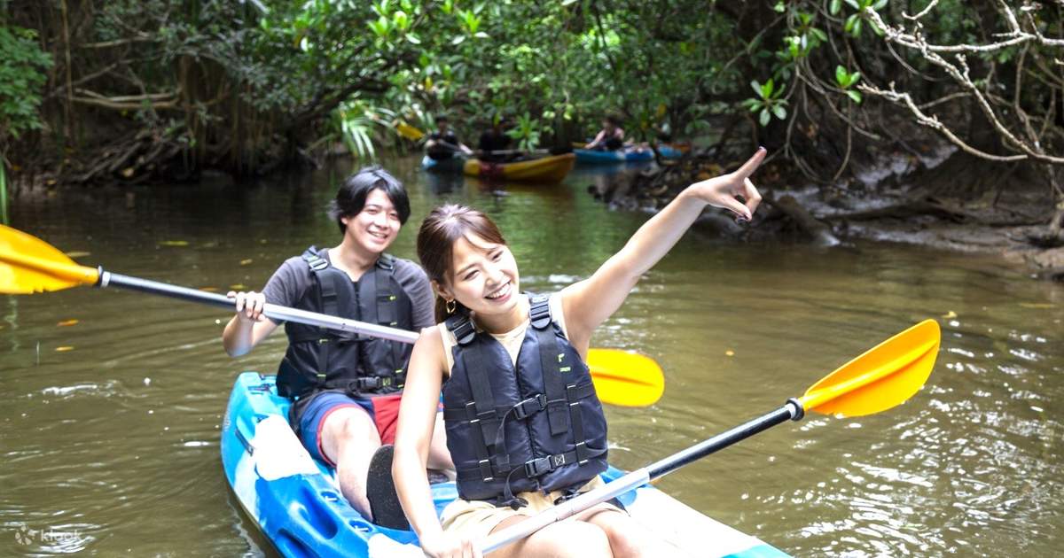 Trải nghiệm SUP nửa ngày trên đảo ngập mặn Iriomote hoặc ca nô (Okinawa) - Klook Việt Nam